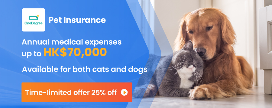 MoneyHero Online Insurance Platform: Quote and Apply in One Go