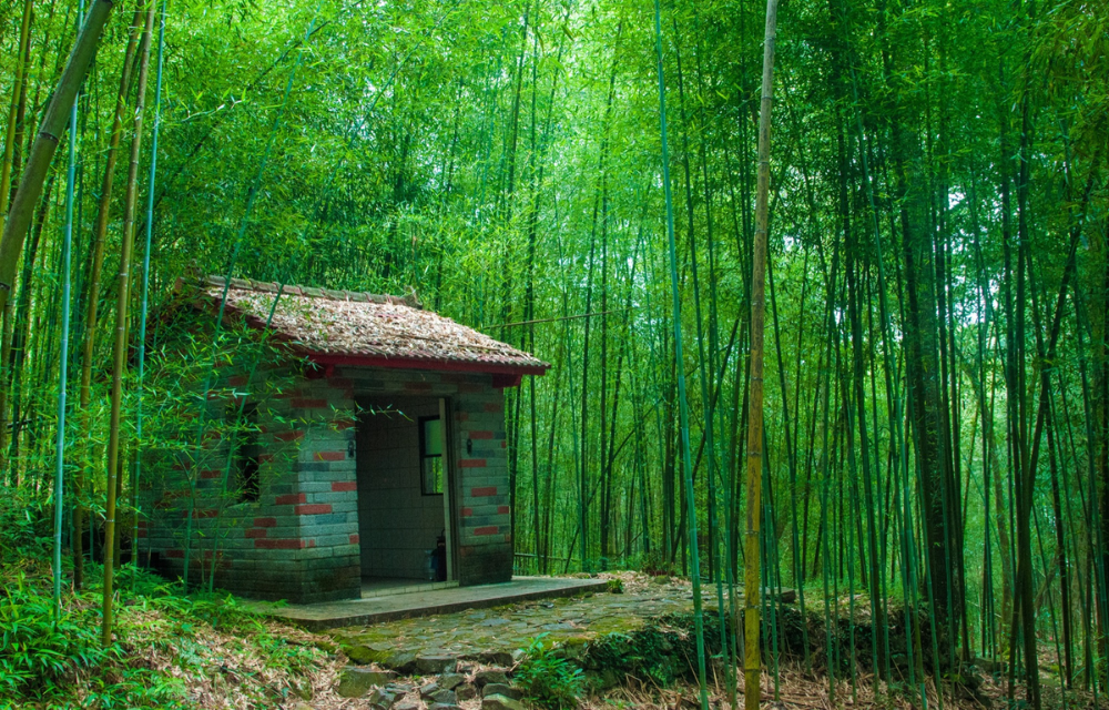 32 Best Things to do in Taichung: Top Activities & Attractions