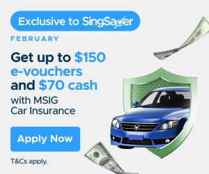 Vehicle Entry Permit (VEP) Singapore to Malaysia - Guide To Driving In