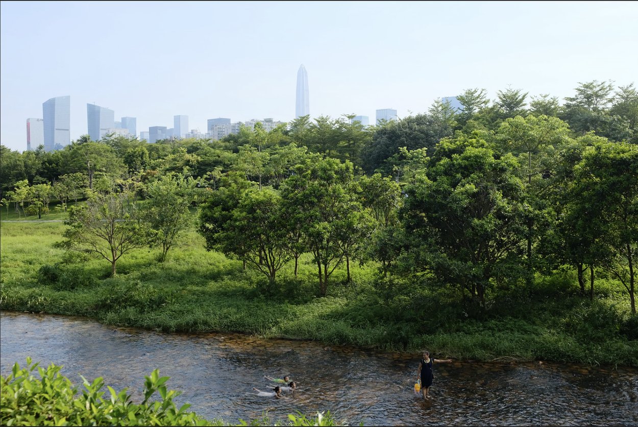38 Best Things to do in Shenzhen: Top Activities & Attractions