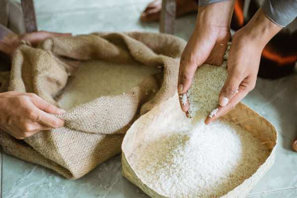 Ready to Be a Rice Seller? Here’s How to Start a Bigasan Business