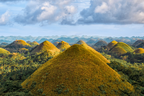 Bohol Travel Guide: What to do on This Tropical Island