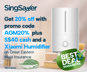 Latest Maid Insurance Promotions and Discounts