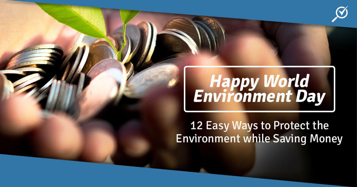 12 Easy Ways To Protect The Environment While Saving Money