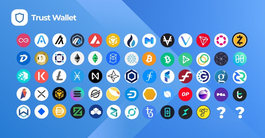 Is Trust Wallet Safe? Find Out in This New Users Basic Guide