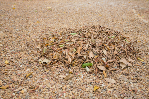 10 Fire Prevention Tips for Protecting Lives and Properties