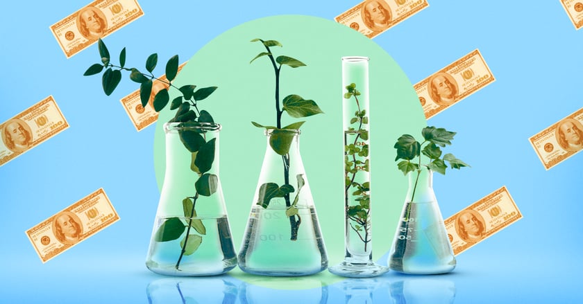 Endowments vs Insurance Savings Account vs. Bank Savings Account ...