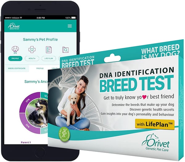 Dog DNA Test Kits - All You Need To Know (Genetic Testing, Breed ...