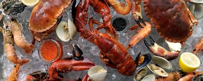 7 Restaurants for High-end Seafood at Affordable Prices
