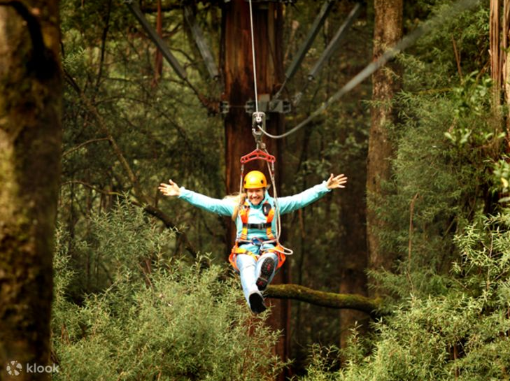 35 Best Things to do in Melbourne: Top Activities & Attractions